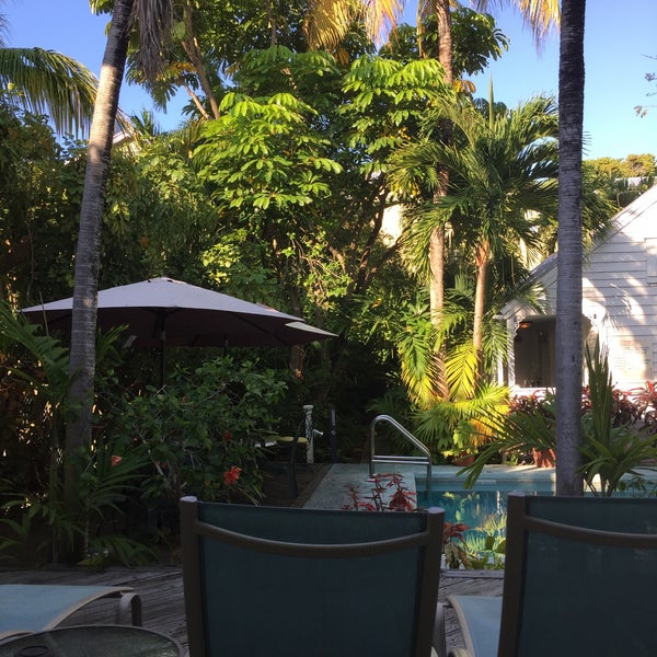 Blue Parrot Inn - Bed and Breakfast