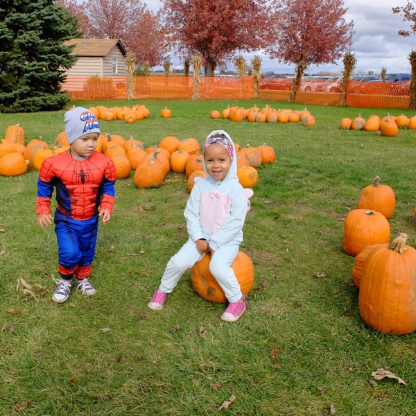 Photos at Goebbert's Farm & Garden Center - South Barrington, IL
