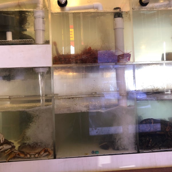 KJ Kitchen - Chinese Restaurant
