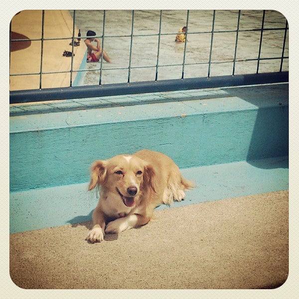 Parque Acuatico Bolivar - Swimming Pool