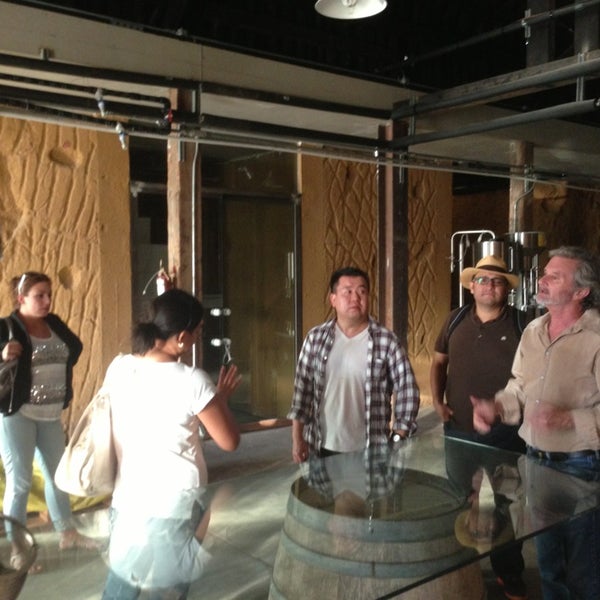 Vena Cava Vinícola - Rancho San Marcos, Toros Pintos, Valle de Guadalupe