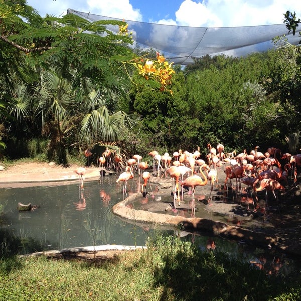 Bermuda Aquarium, Museum and Zoo - Zoo