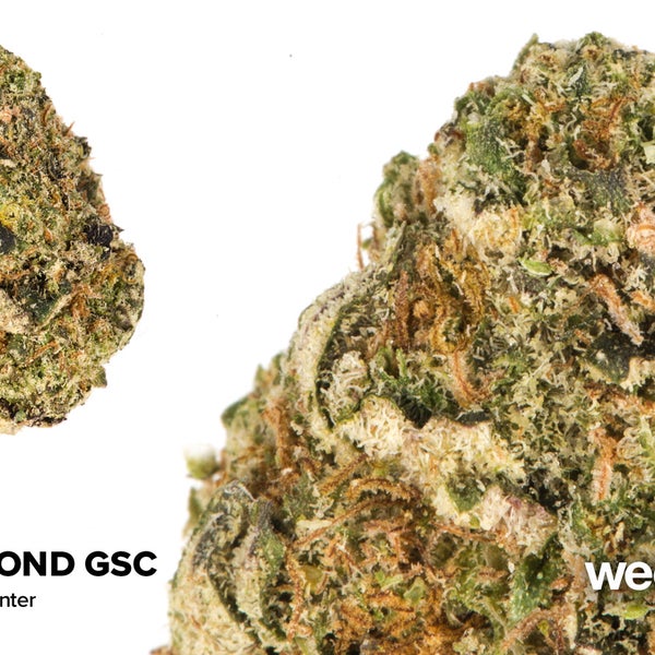 Purple Lotus - Marijuana Dispensary in Berryessa