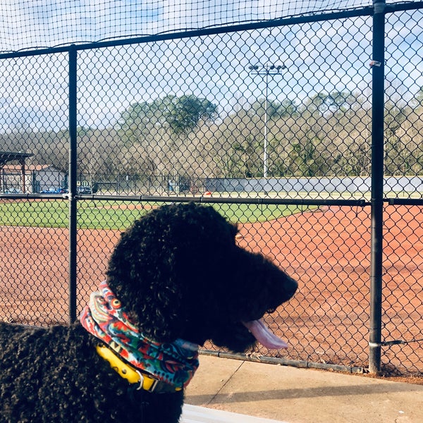 Medlock Park - 3 tips from 427 visitors