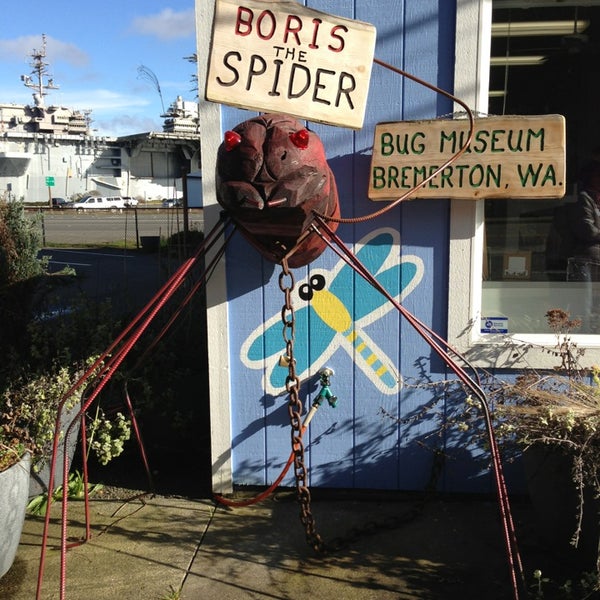 Bug Museum - West Bremerton - 4 tips from 178 visitors