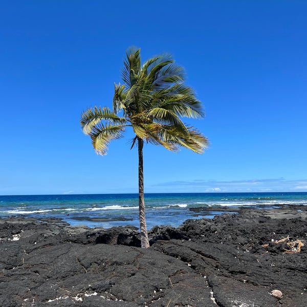 Paniau - Kamuela, HI