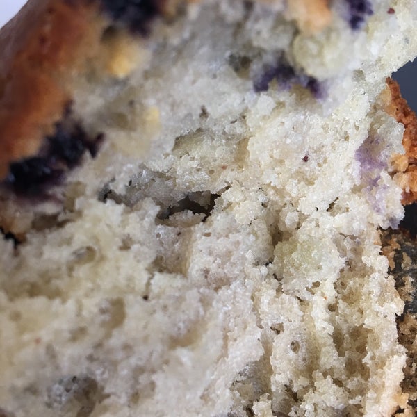 Gordon's Cafe, UCL - Coffee Shop in London