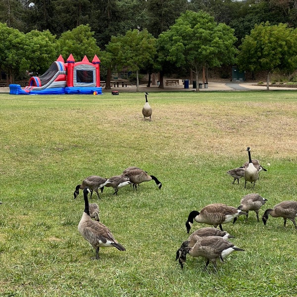 Photos at Vasona Lake County Park - 333 Blossom Hill Rd