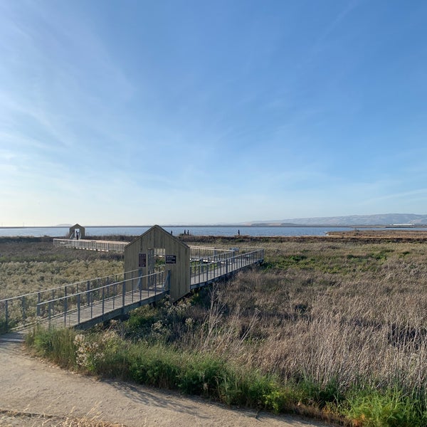 Photos at Alviso Marina County Park - Alviso - 1195 Hope Street