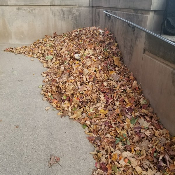 Photos at Gilman Hall - College Science Building in Iowa State University