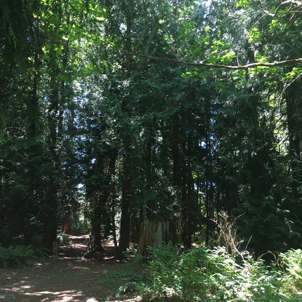 Photos at Spruce Park - Park in Lynnwood