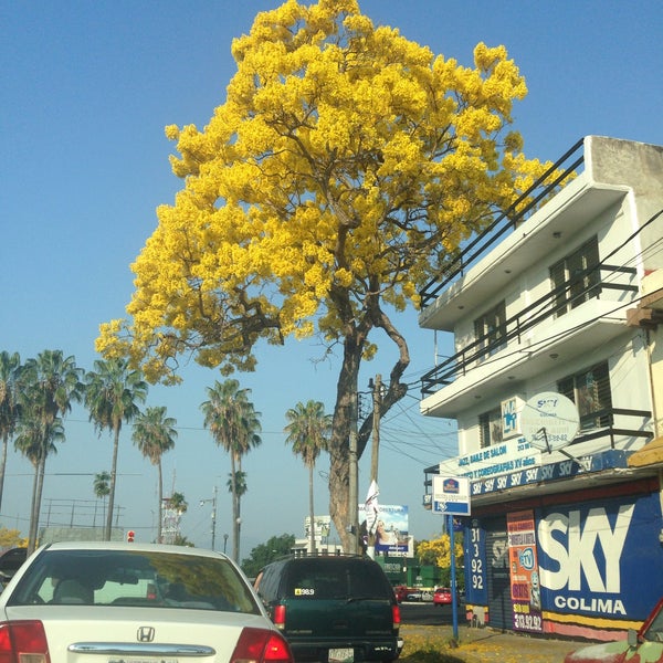 Glorieta del DIF - Colima, Colima