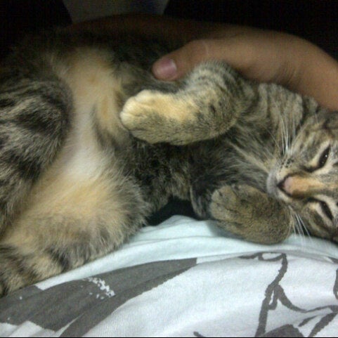 Photos at Hostel UNIKL Block 10 - College Residence Hall in Pantai Hills