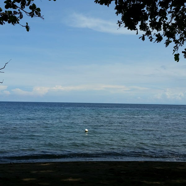 Dauin Marine Reserve and Sanctuary - Nature Preserve