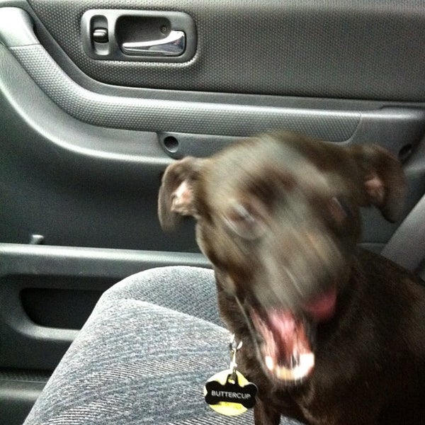 Timbercrest Junior High School - Middle School