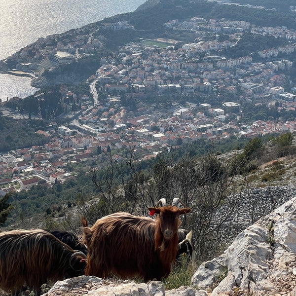 Fort Imperial - History Museum in Dubrovnik