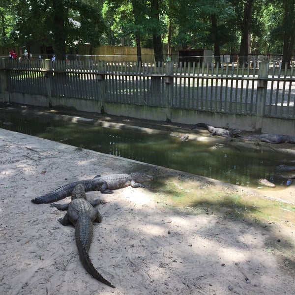 Gators & Friends Gator Park / Exotic Zoo - Zoo