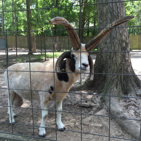Gators & Friends Gator Park / Exotic Zoo - Zoo