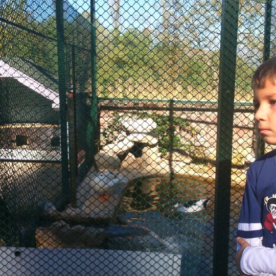 Photos at Restoran Via Ignacija-Vevchani - Modern European Restaurant