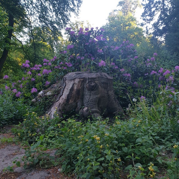 Park Randenbroek - Park in Amersfoort