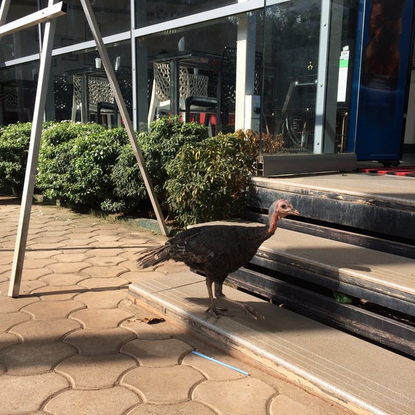 Kream Corner - 1 tip