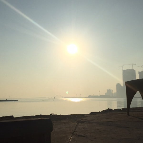 Dolphin park - 4 tips