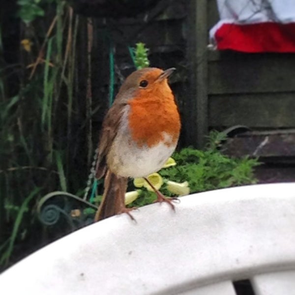 Photos at Redhill Memorial Park - 8 tips