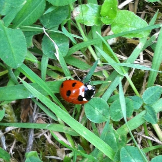 Photos at Redhill Memorial Park - 8 tips