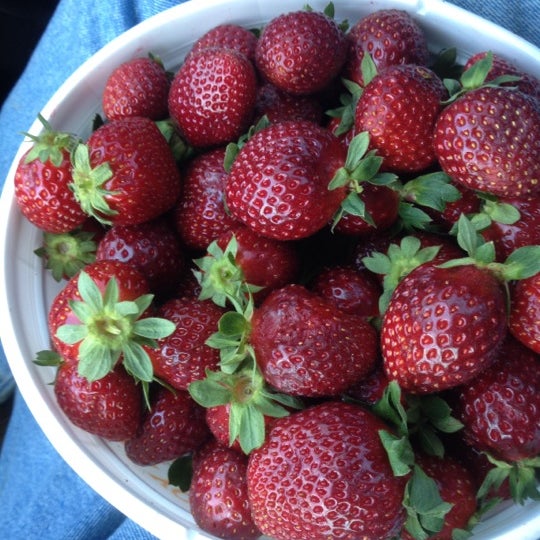 Washington Farms - Farm