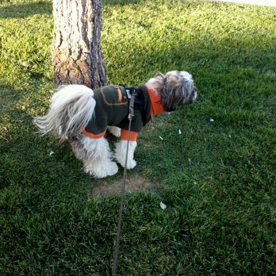 DeForge Community Park - Seneca Springs - Beaumont, CA