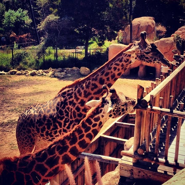 Photos at Santa Barbara Zoo - East Beach - Santa Barbara, CA