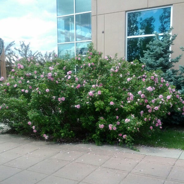 Photos at Riddell Centre - Regina, SK