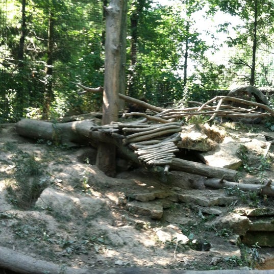 Wolverine Exhibit - Zoo Exhibit