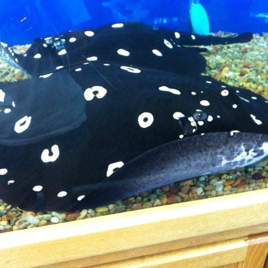 Stingray Bay - 68 visitors