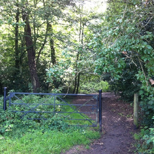 Parkhurst Forest - Hiking Trail in Newport