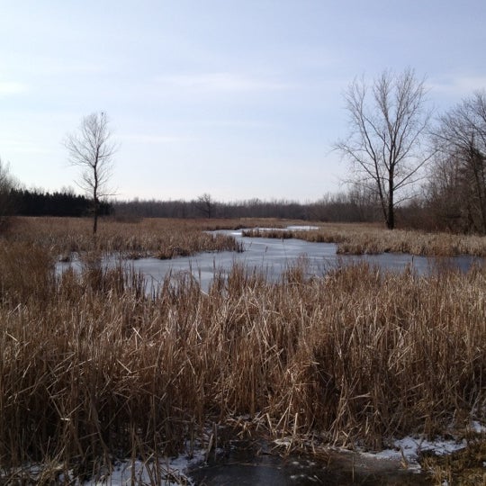 Photos at Alabama Swamps Shooting Range - Gun Range in Middleport