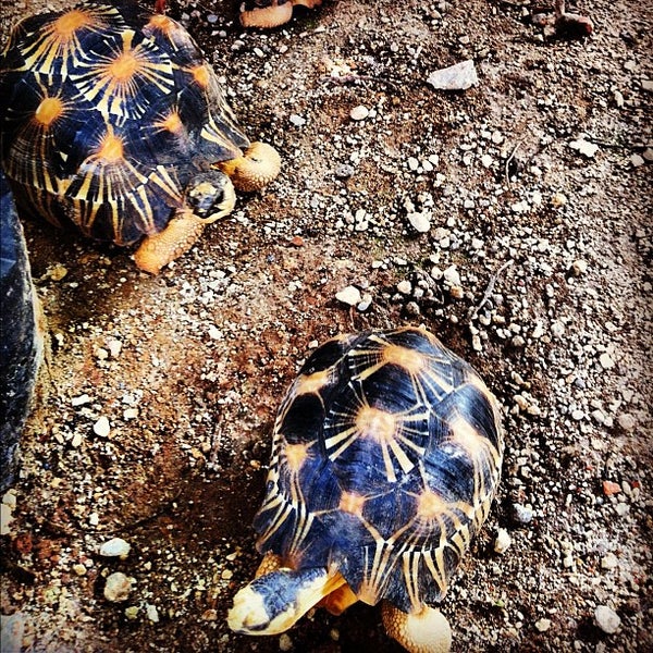 Perumaan Alam Sutera (Now Closed) - Structure in Serpong