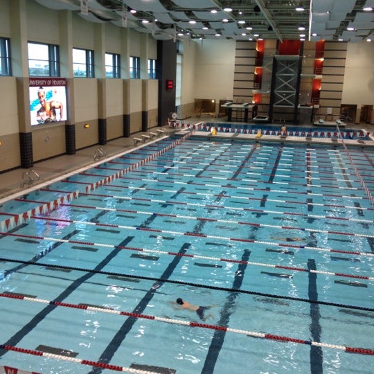 Natatorium - Swimming Pool in Houston