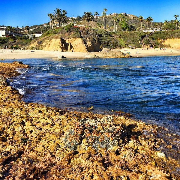 Photos at Goff Island Beach - Beach in Laguna Beach