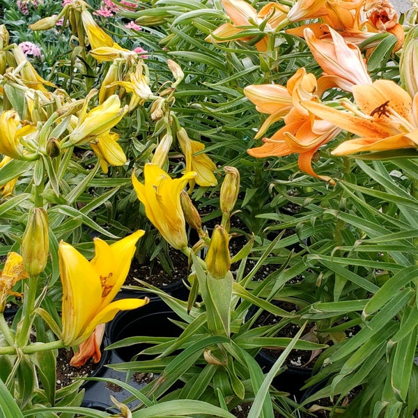Photos at Walmart Supercenter - Clinton, IA