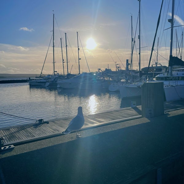 Poole Quay - 9 tips from 968 visitors