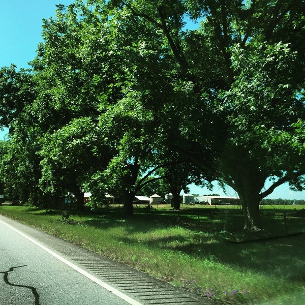 Quail Ridge Plantation - Farm in Richland