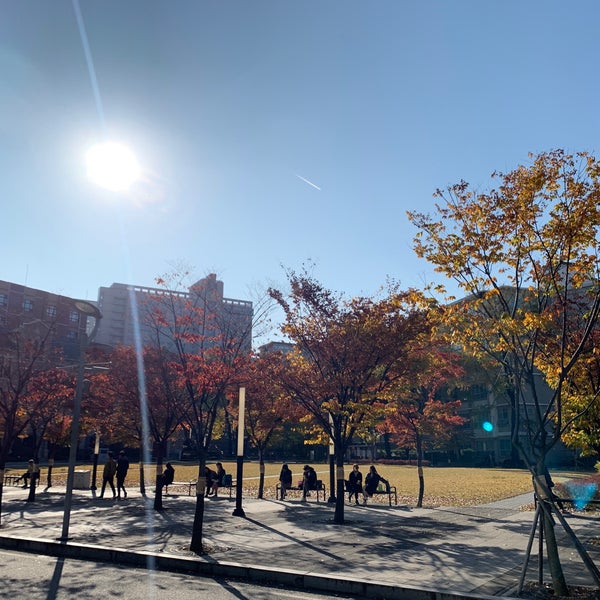 중앙대학교 중앙광장 - College Quad in 흑석동