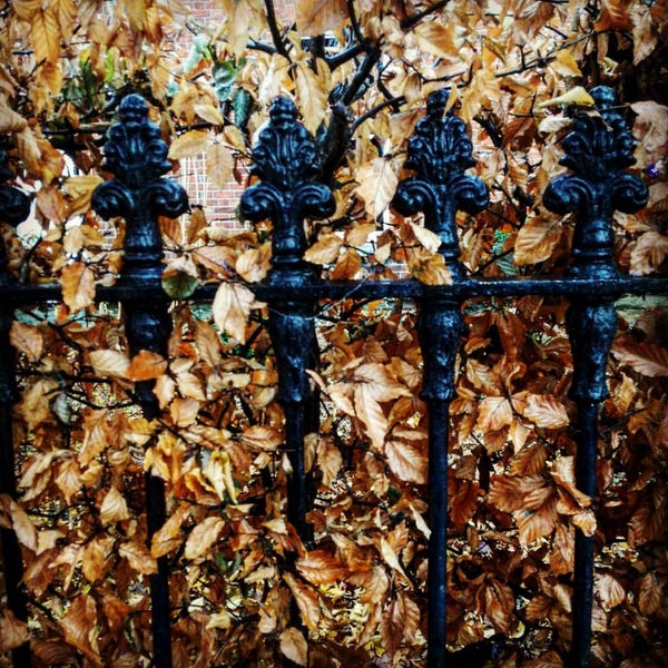 Ranelagh Village Market - Ranelagh - Dublin, Dublin City