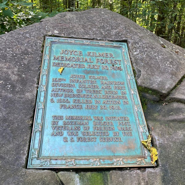 Joyce Kilmer Memorial Forest - Hiking Trail in Robbinsville