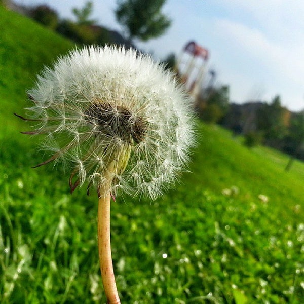 Photos at Thornhill Community Centre - 14 tips