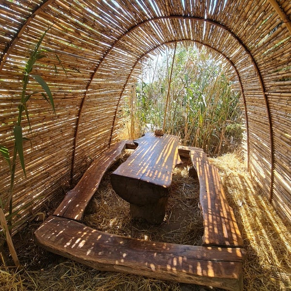 Safari Bar - 42 tips from 1057 visitors