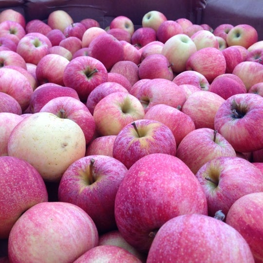 Red Apple Barn - Ellijay, GA