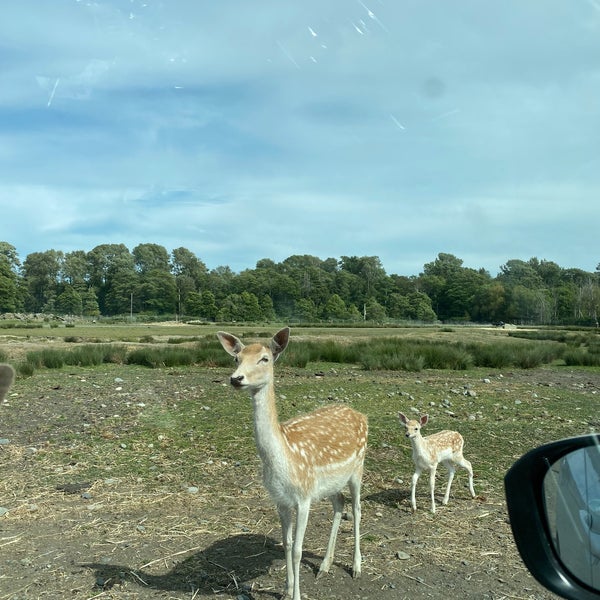 Olympic Game Farm - 16 tips