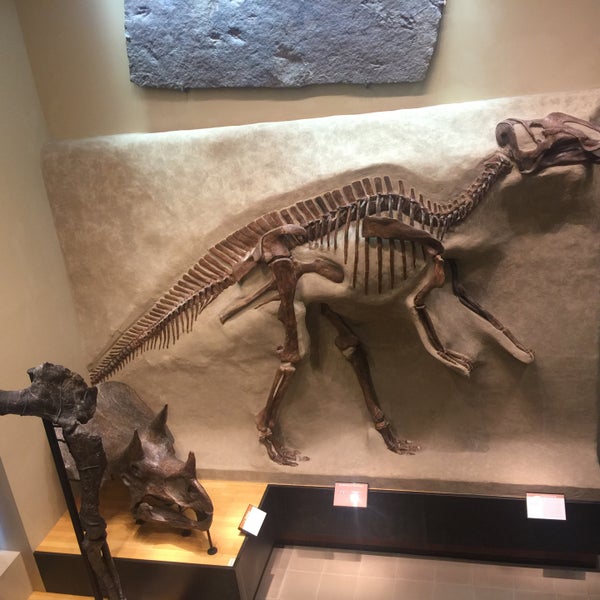 Photos at Beneski Museum of Natural History - 11 Barrett Hill Rd